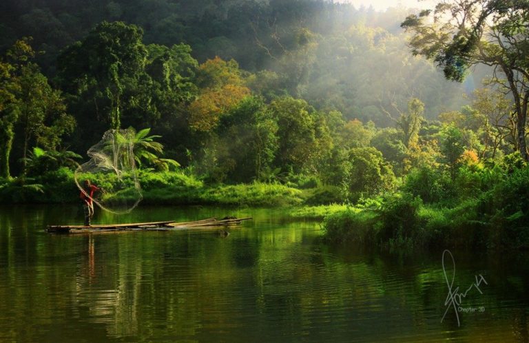 Fotografije Hermana Damara - Spor život - Princip | Princip